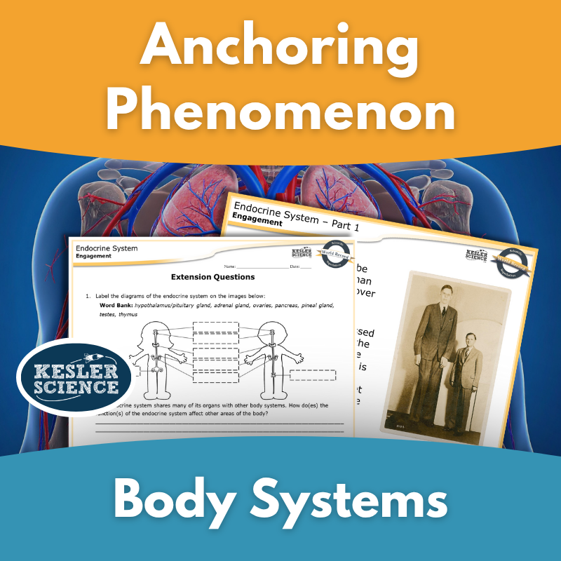 Anchoring Phenomenon - Life Science - Body Systems – Kesler Science Store