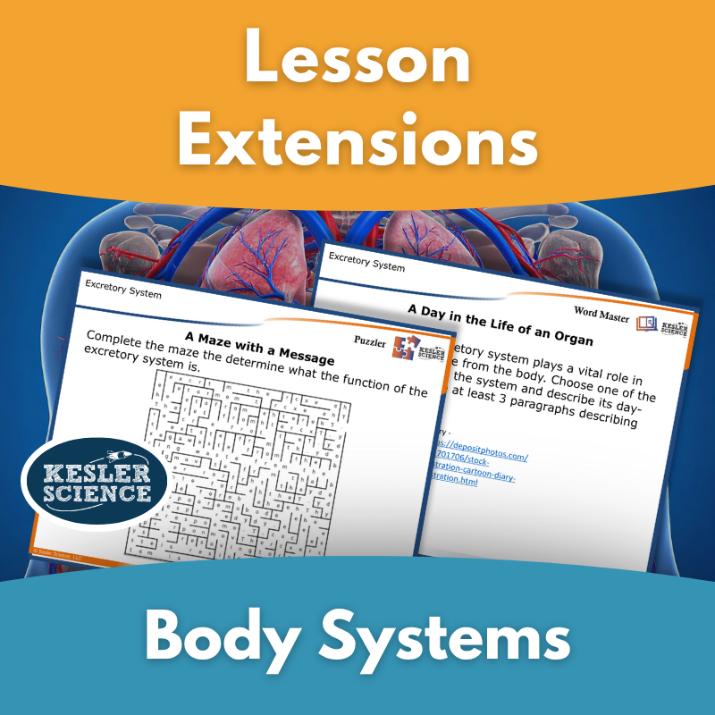 Lesson Extensions - Life Science - Body Systems – Kesler Science Store