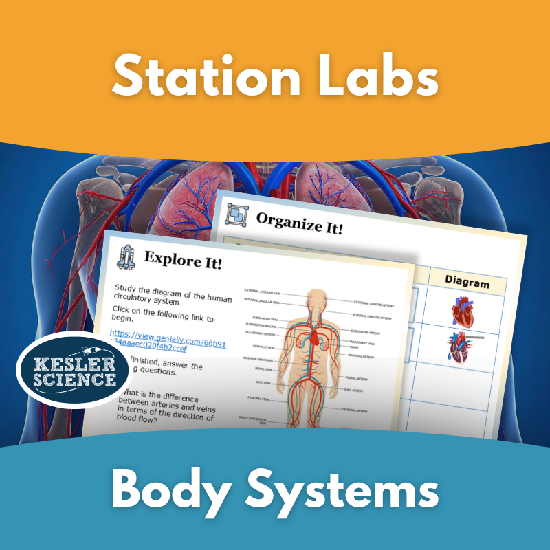 Station Labs - Life Science - Body Systems – Kesler Science Store