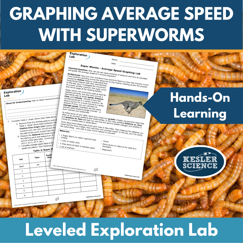 Average Speed & Graphing Lab with Superworms – Kesler Science Store