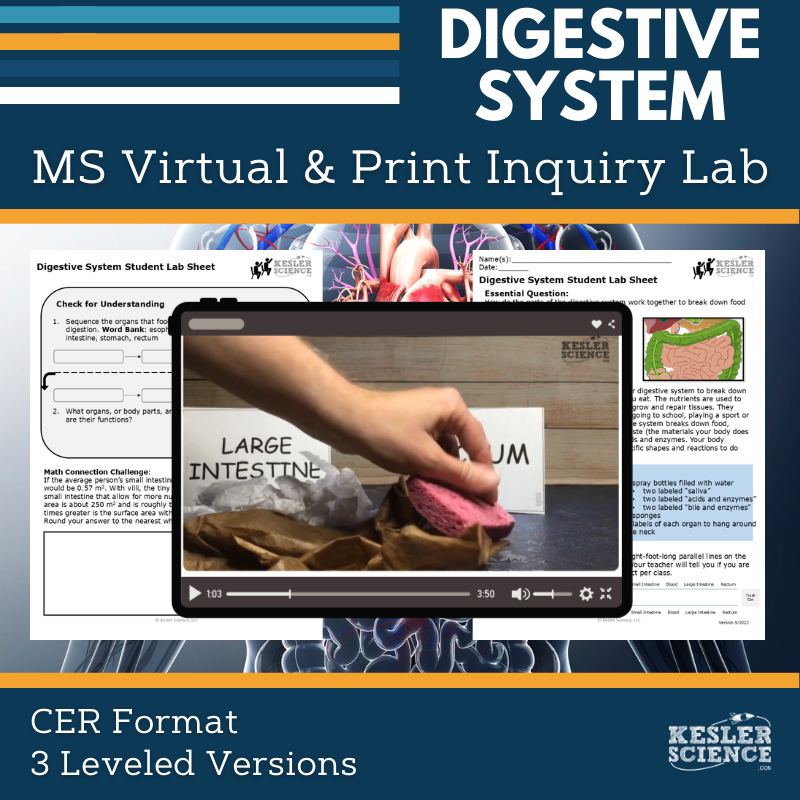 Digestive System Digital Inquiry Lab - MS 6-8 – Kesler Science Store