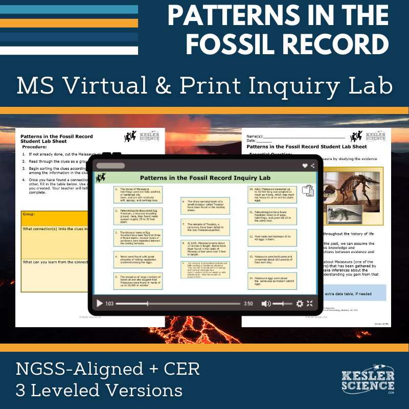 Patterns in the Fossil Record Digital Inquiry Lab - NGSS MS LS4-1 ...