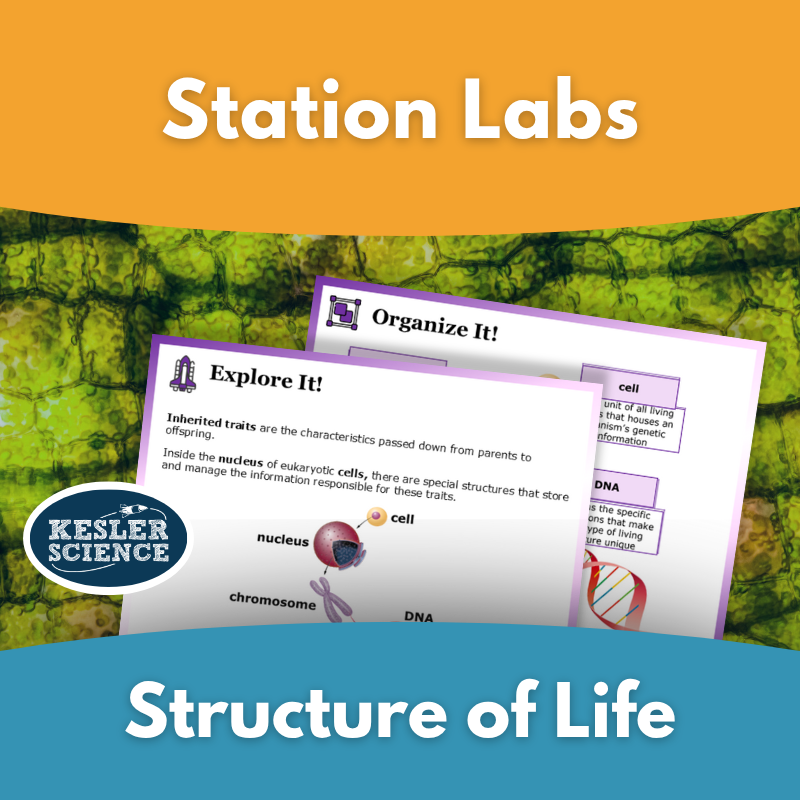 Station Labs - Life Science - Structure of Life – Kesler Science Store